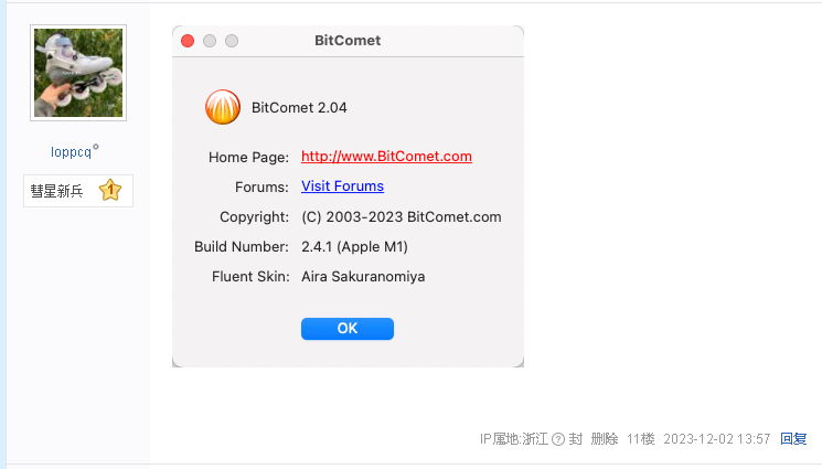2.05测试版 - #163 ie12 - 比特彗星(BitComet) - 彗星論壇